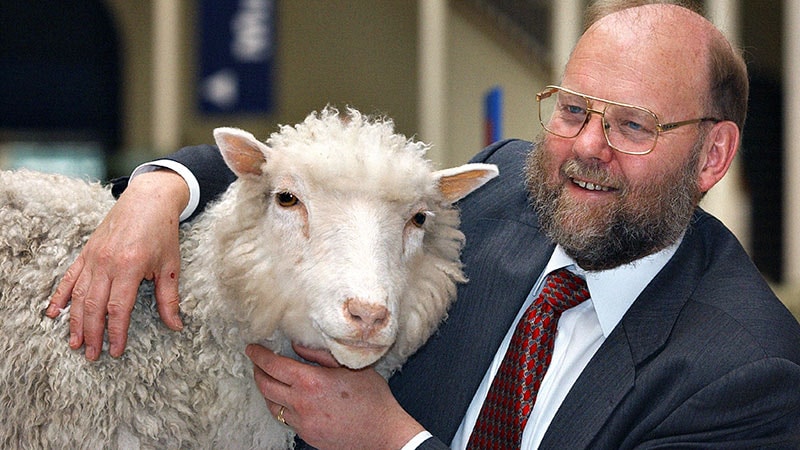 Medscape at 30: Three Decades of Amazing Breakthroughs