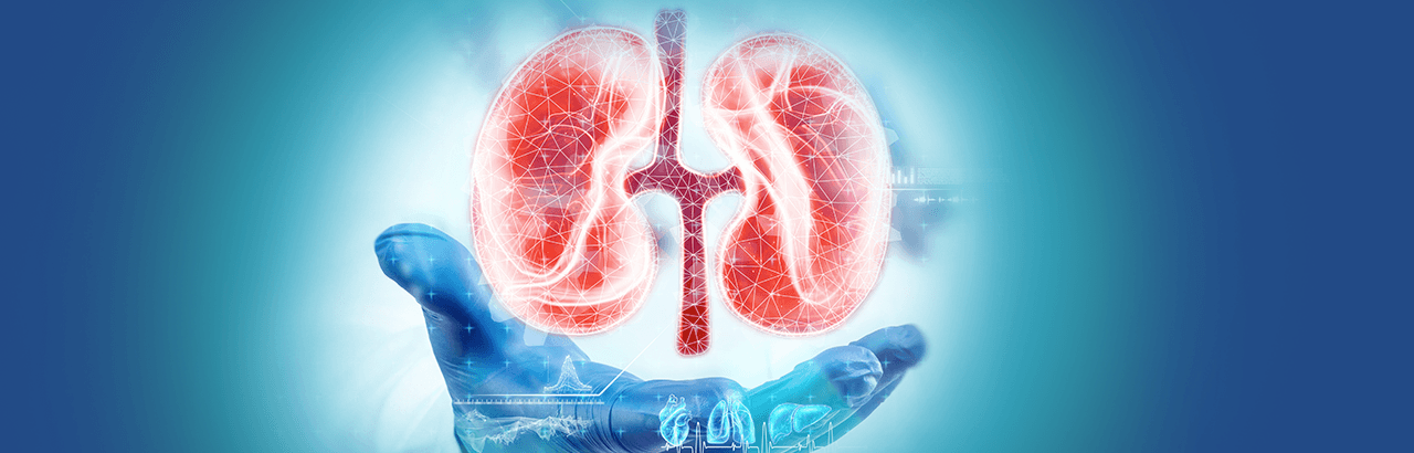 The Evolving Treatment Landscape for IgA Nephropathy