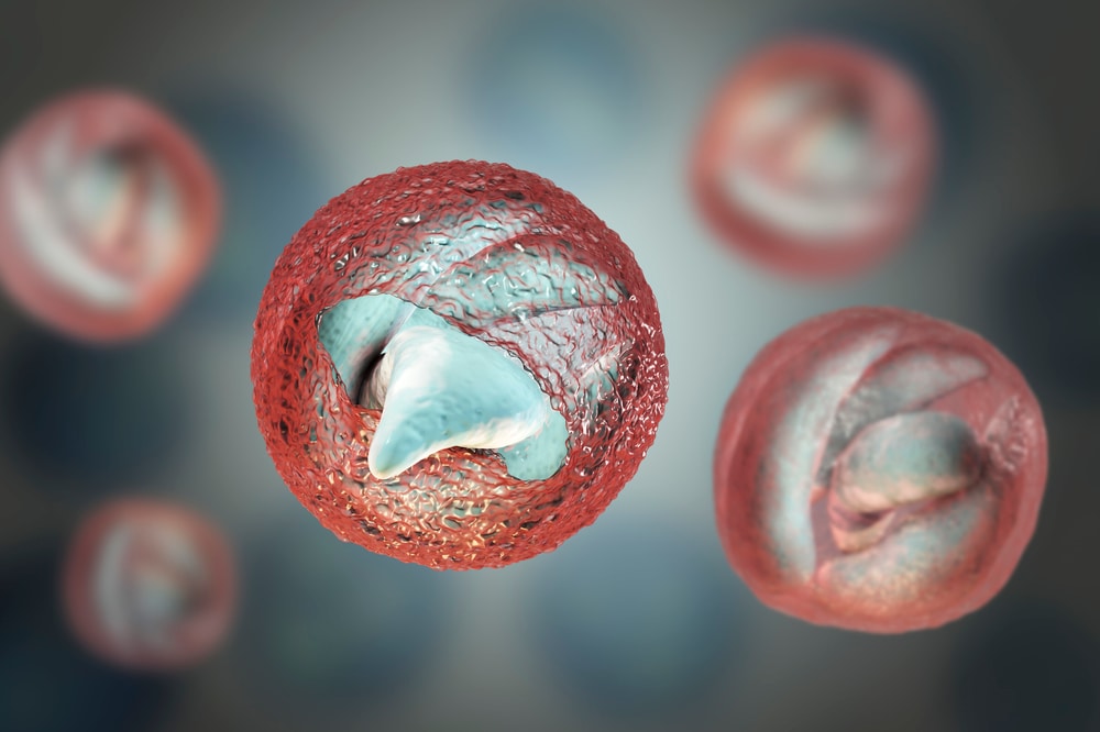 Cryptosporidium Becoming More Virulent Due to Globalization And Animal ...