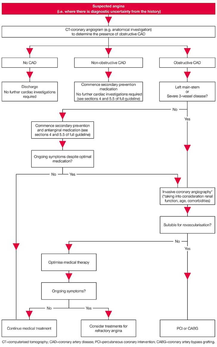 Angina, Stable: SIGN Management in Secondary Care