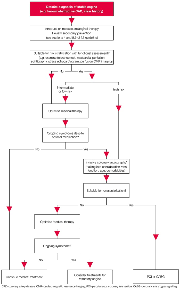 Angina, Stable: SIGN Management in Secondary Care