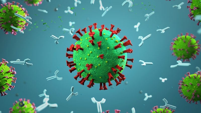 'No Guarantee of Anti-N Antibodies' From COVID Infection