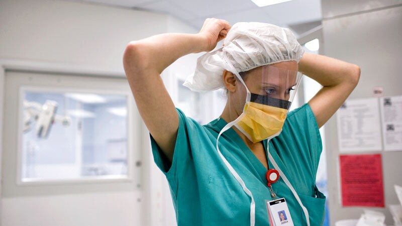 Government Fraud Investigators Probe PPE Contracts, MPs Told