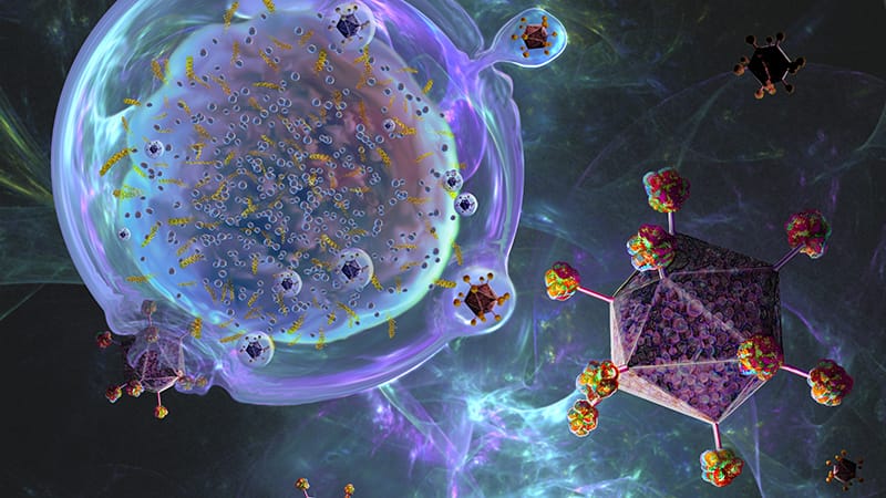 New 'Human Cell Atlas' Aims to Increase Understanding of Immunity and ...