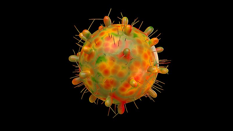 Omicron XE Variant: What Do We Know So Far?