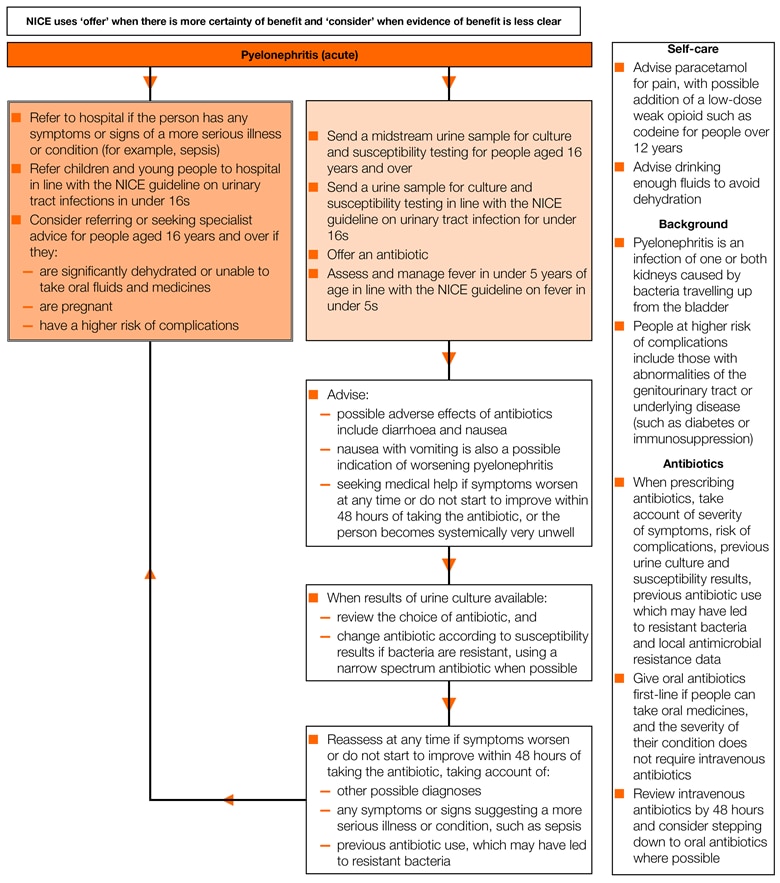 Pyelonephritis, Acute: Antimicrobial Prescribing