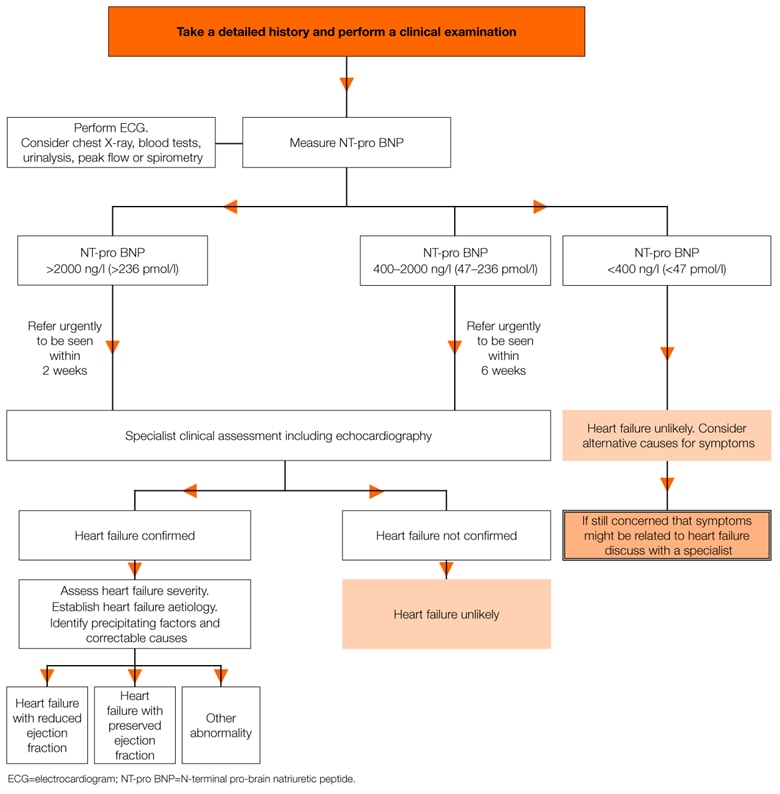 Chronic Heart Failure in Adults: Diagnosis and Management