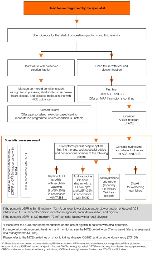 Chronic Heart Failure in Adults: Diagnosis and Management